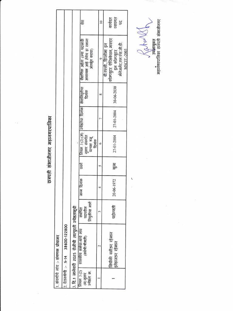 43 Computer Programmer Pdf
