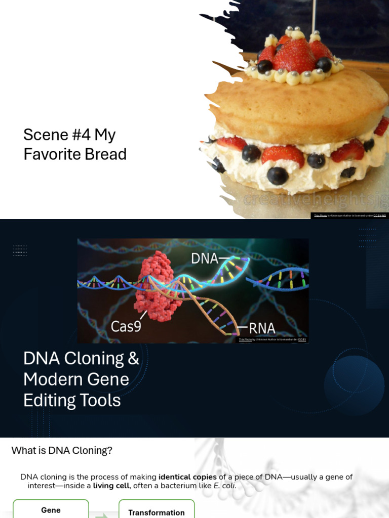 Week 15 DNA Cloning and CRISPR | PDF | Crispr | Molecular Cloning