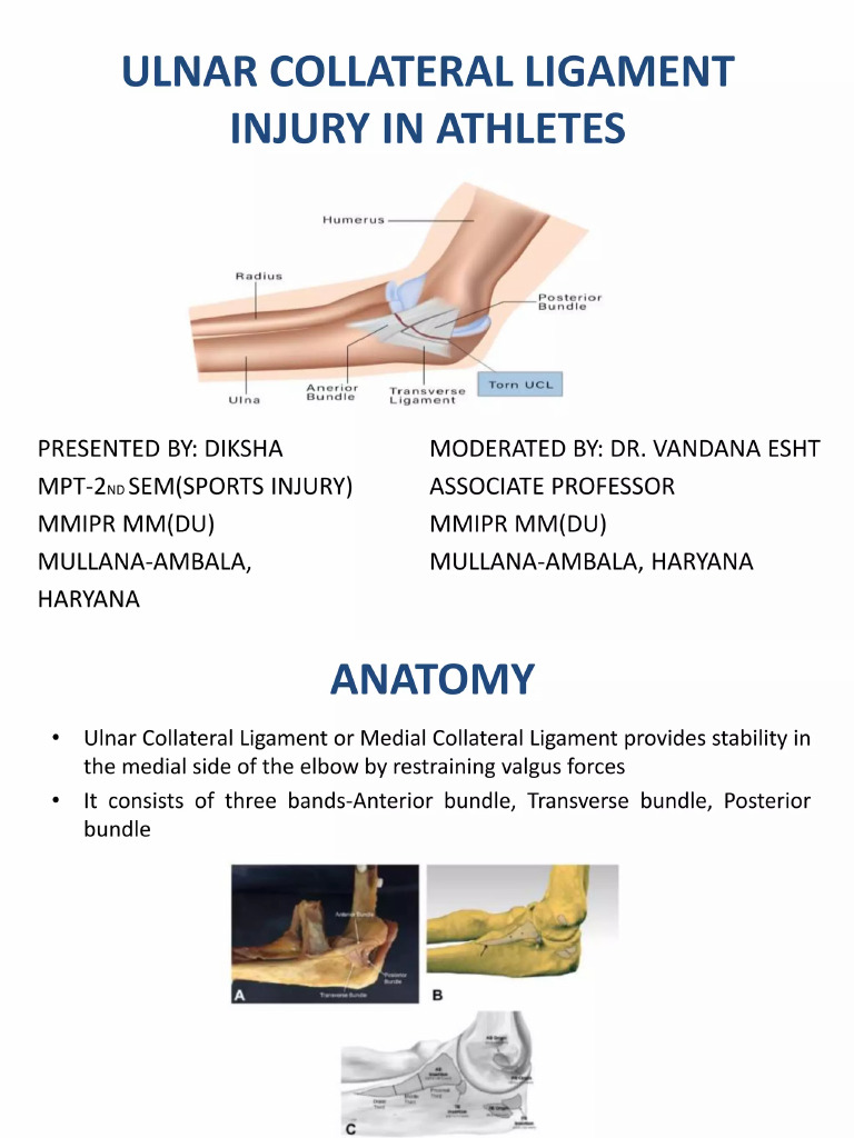 Ulnar Collateral Ligament Injury For Athletic | PDF