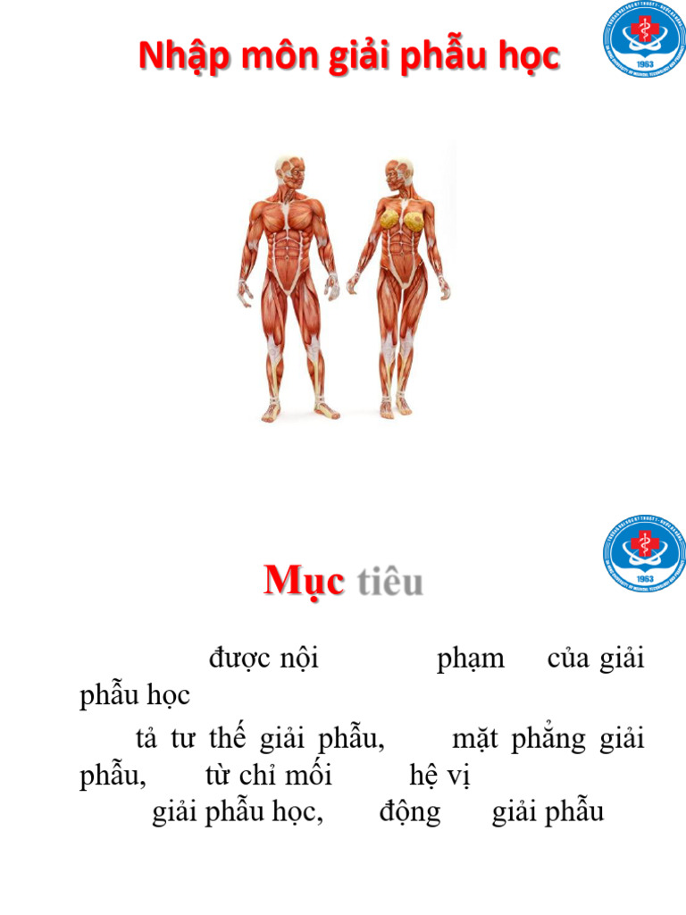 Bai Giang Nhap Mon Giai Phau Hoc | PDF