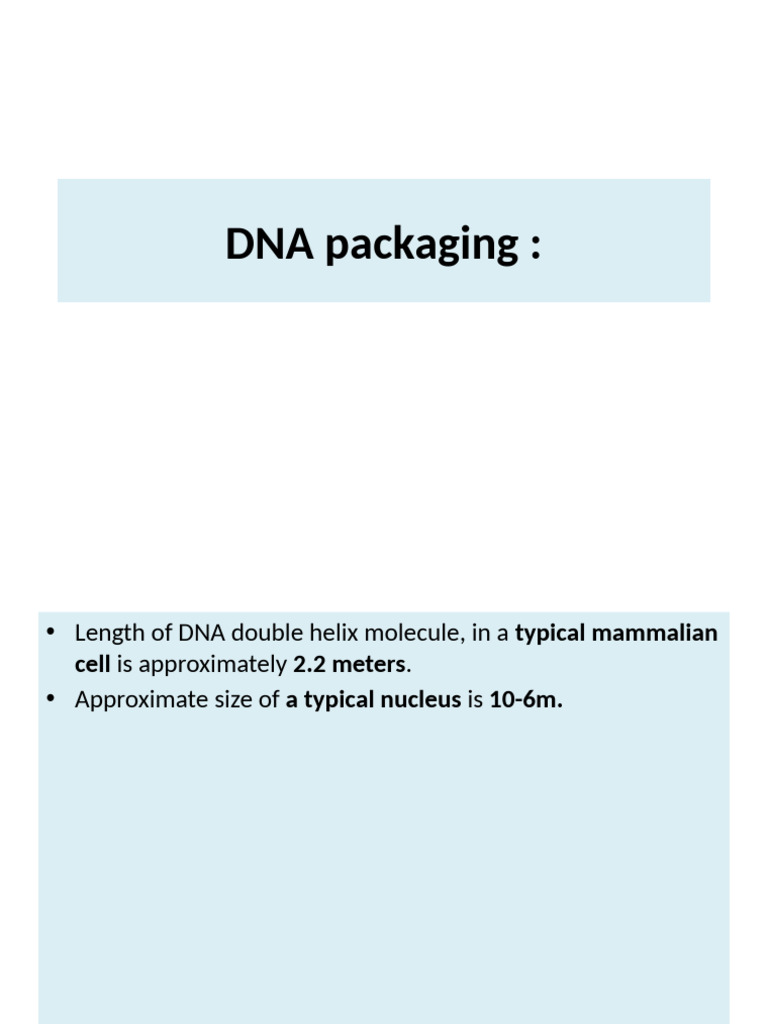 DNA Packaging | PDF