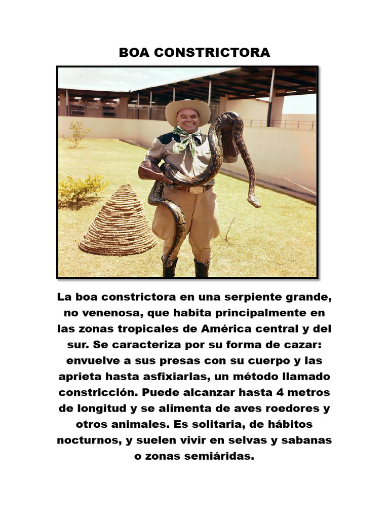 Boa Constrictora | PDF