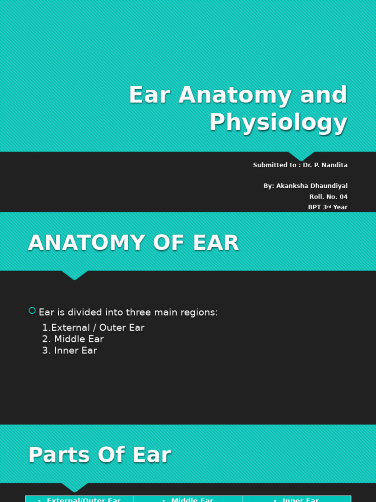 Ear Anatomy and Physiology Overview | PDF | Ear | Auditory System