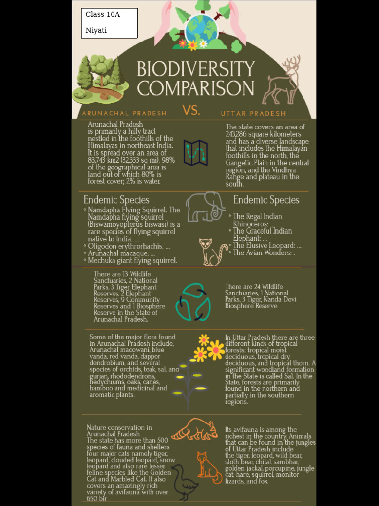 Science 10a Niyati Sharma | PDF