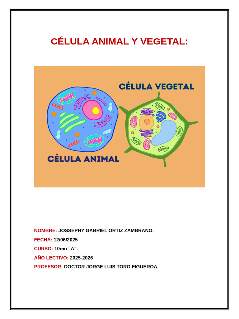 Estructura y Funciones de la Célula Animal | PDF