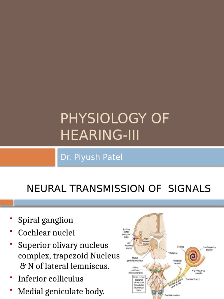Physiology of Hearing - III | PDF