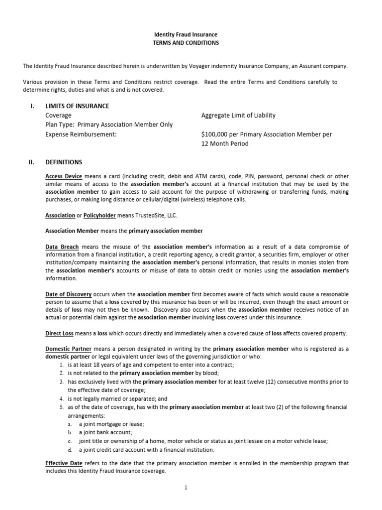 Summary of Insurance Benefits 100k TrustedSite | PDF | Insurance ...