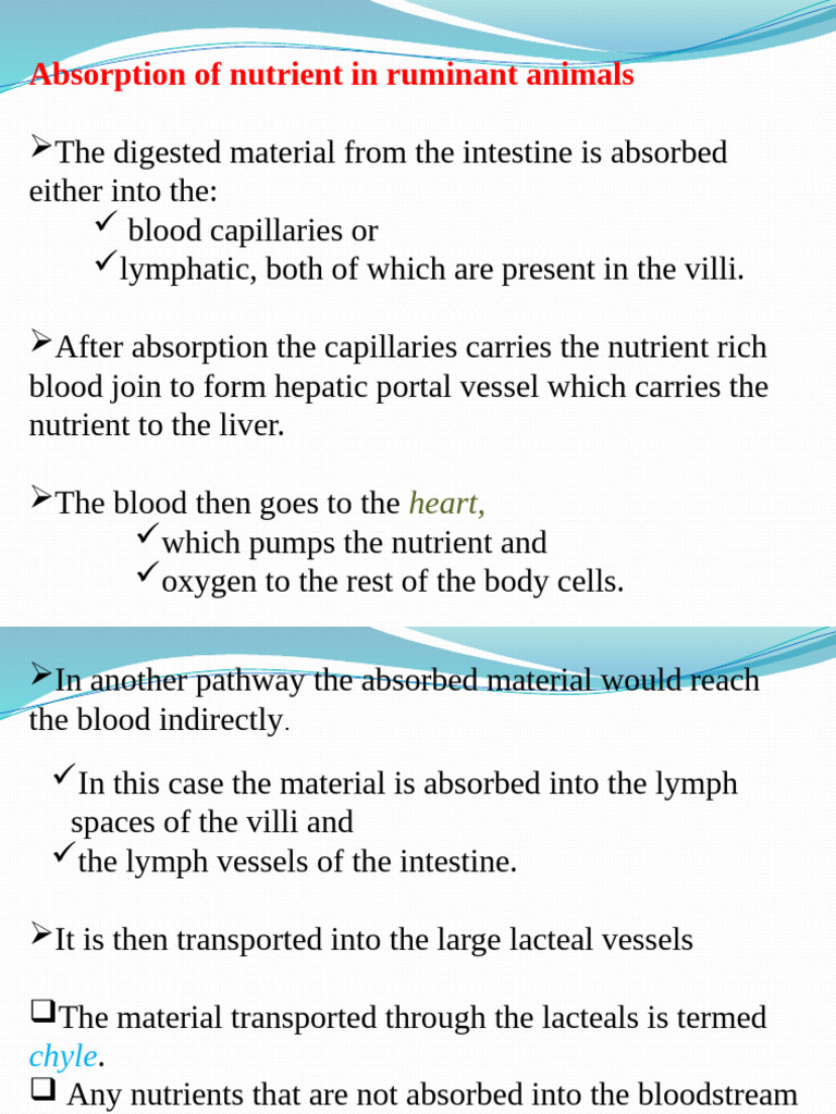 Absorption of Nutrients Impt | PDF | Small Intestine | Amino Acid