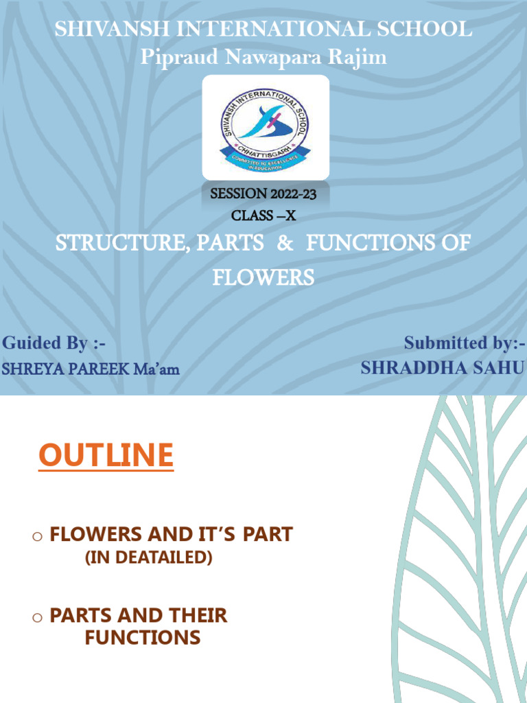 Flower Structure and Types Explained | PDF | Flowers | Pollination
