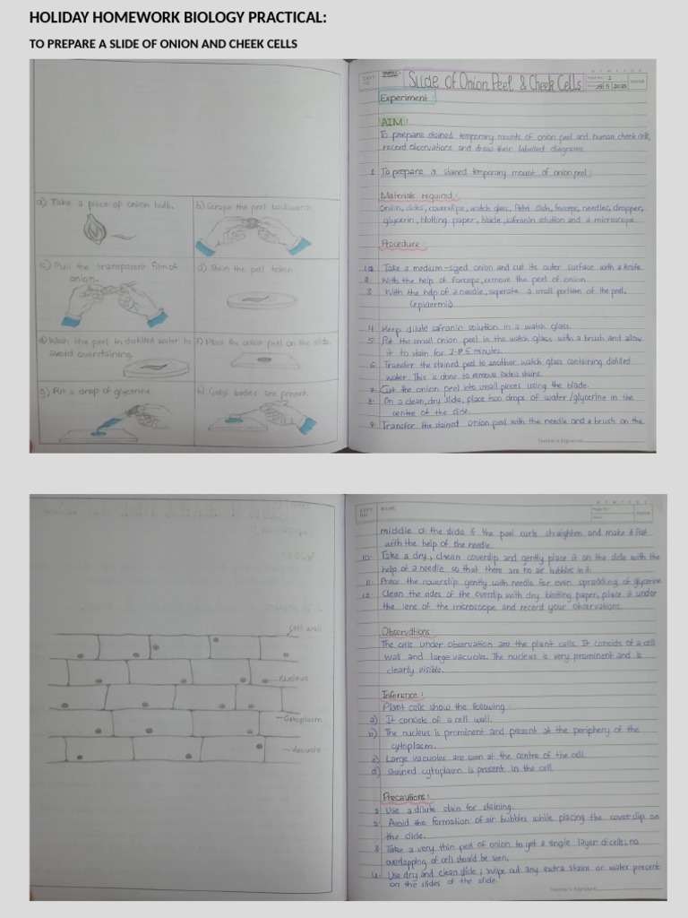 Holiday Homework Biology Practical | PDF