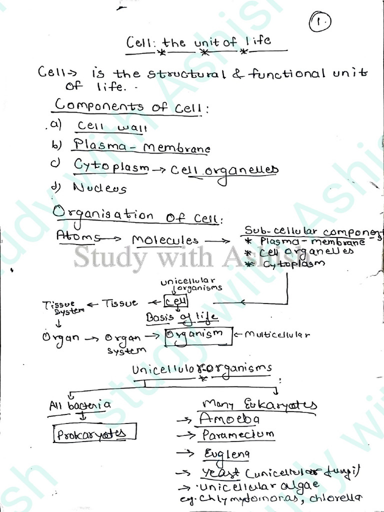 Cell The Unit of Life | PDF