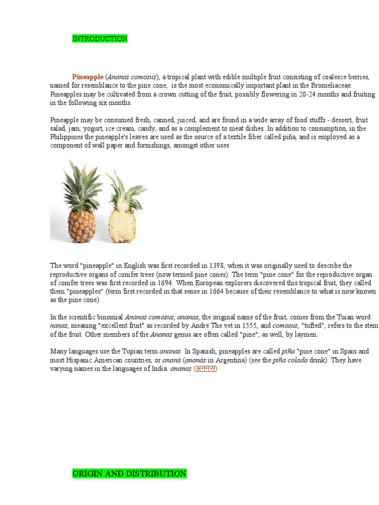 Pineapple: Origin and Distribution | PDF | Pineapple | Horticulture And ...