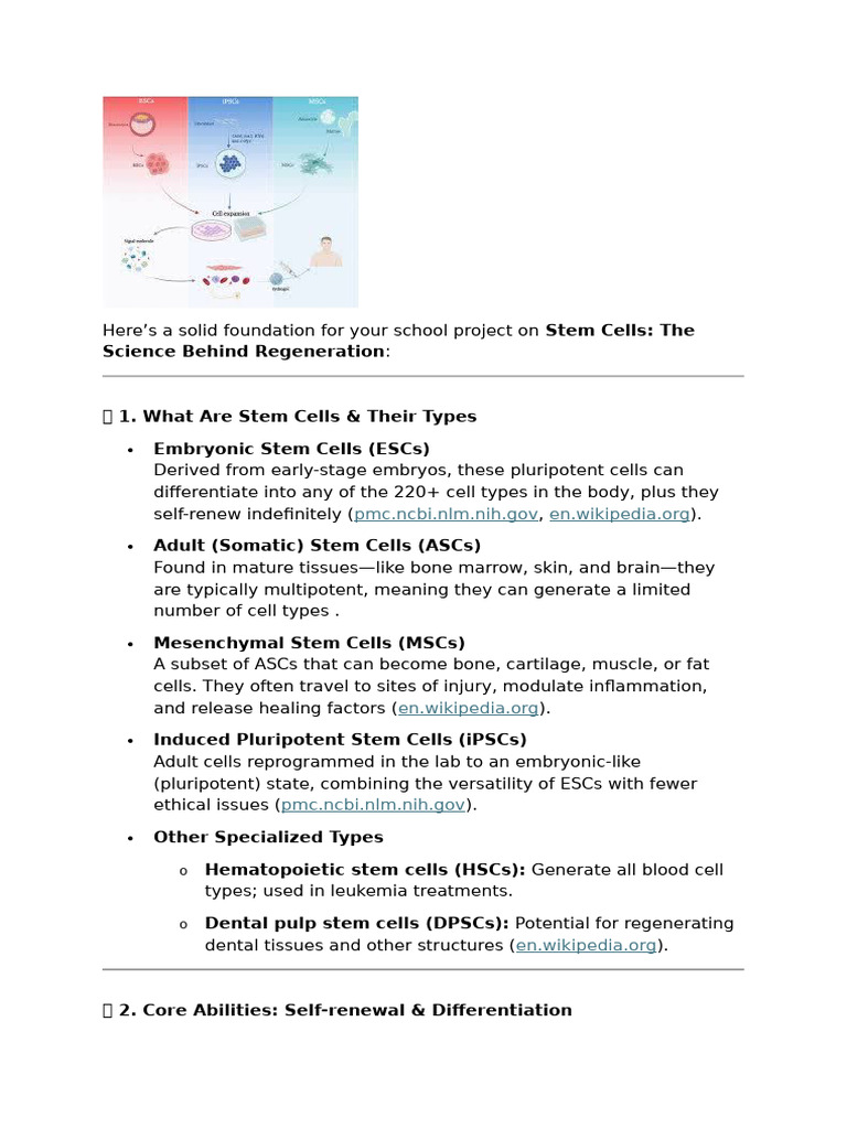 Biology Investigatory Project | PDF | Stem Cell | Cell Potency