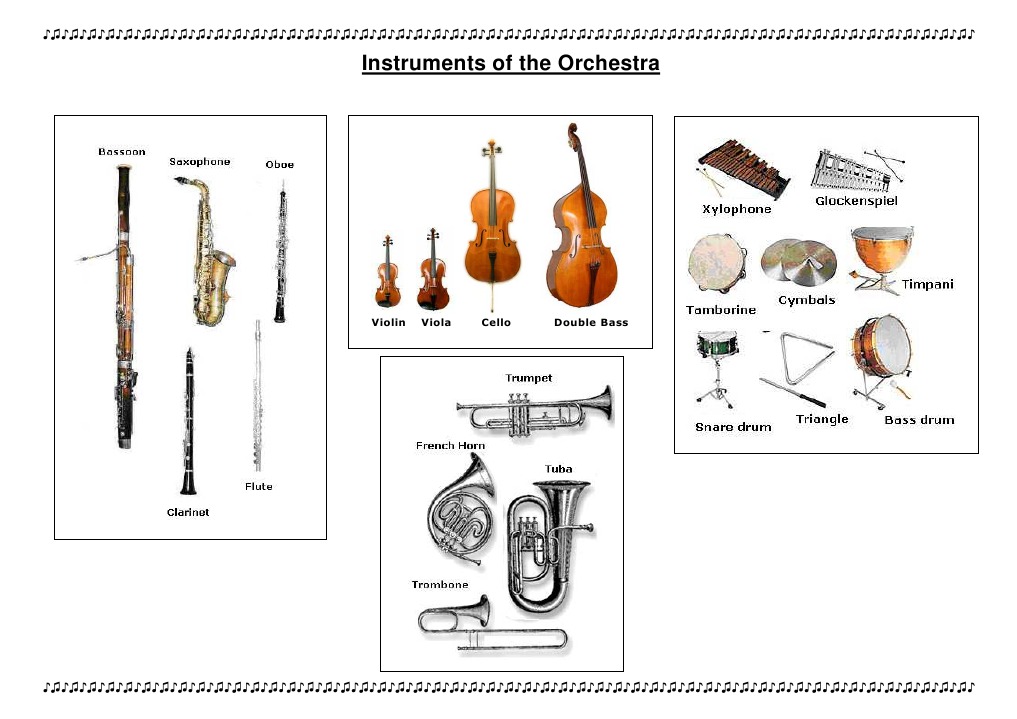 Orchestra | PDF | Cello | String Instruments