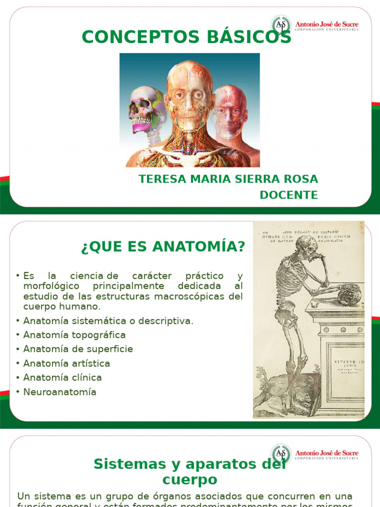 Clase 1 Conceptos Básicos de Biologia Fisio | PDF | Términos anatómicos de ubicación | Anatomía