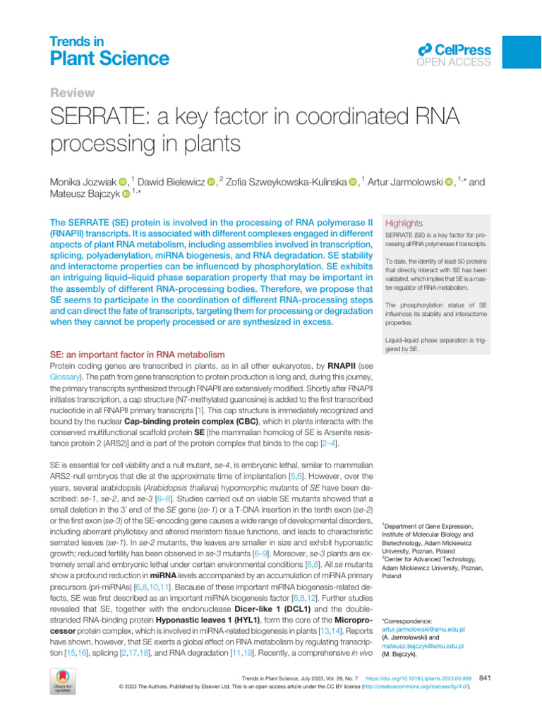 SERRATE Protein's Role in Plant RNA Processing | PDF | Micro Rna | Rna