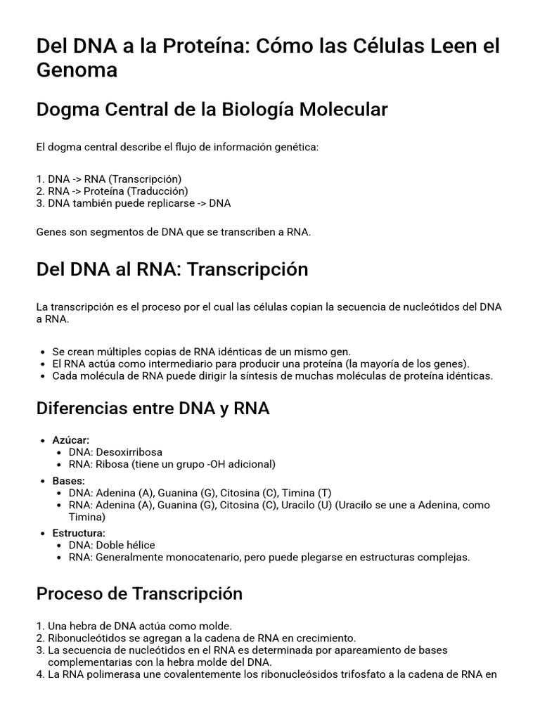 ADN A La Proteína - Guía de Estudio | PDF | Rna | Adn