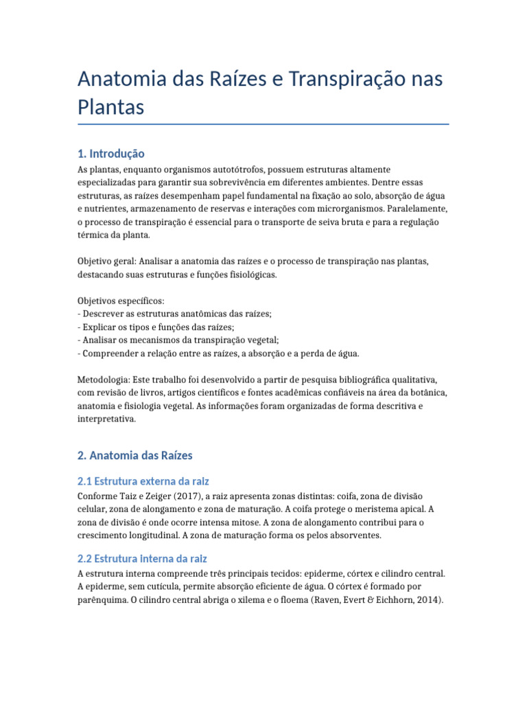 Anatomia das Raízes e Transpiração Vegetal | PDF | Raiz | Plantas