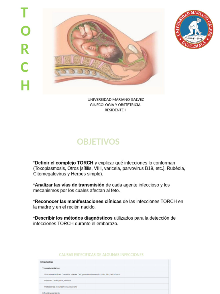 Torch Ashley Clase | PDF | Infección transmitida sexualmente | Especialidades Medicas