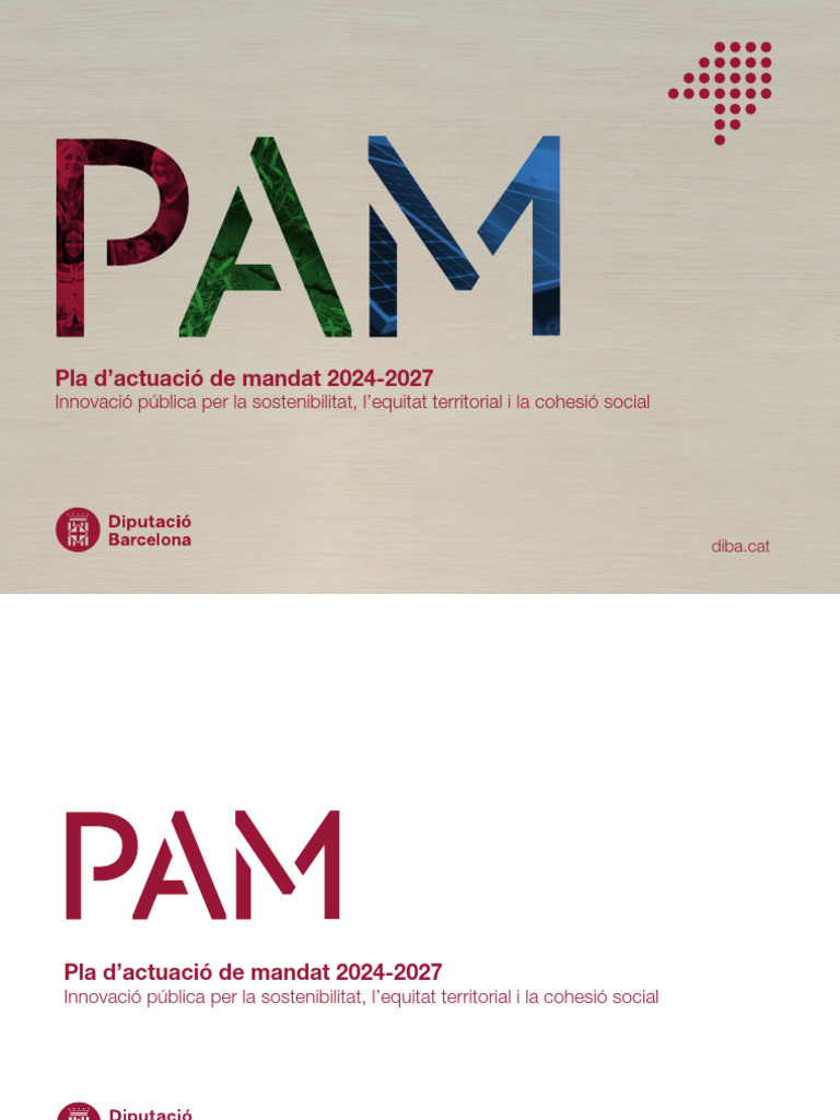 Pam 2024 2027 | PDF