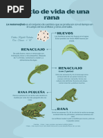 Metamorfosis de La Rana | PDF