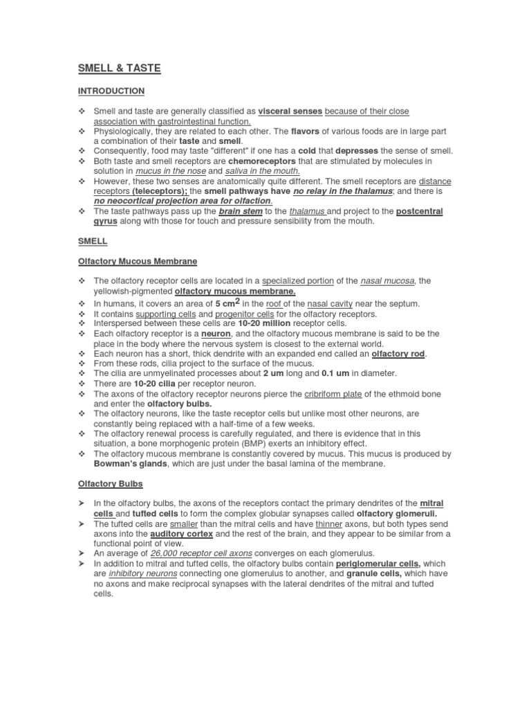 Smell & Taste | PDF | Olfaction | Taste