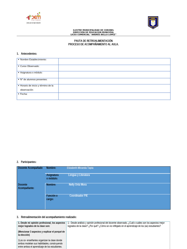 Formato Retroalimentación 2023 | PDF | Maestros | Evaluación