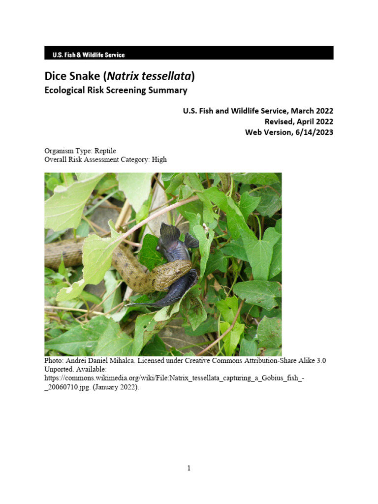Ecological Risk Screening Summary Dice Snake | PDF | Coast | Central Asia