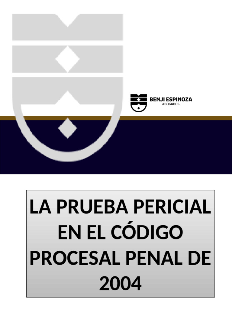 Prueba Pericial en el Código Penal 2004 | PDF | Testigo experto ...
