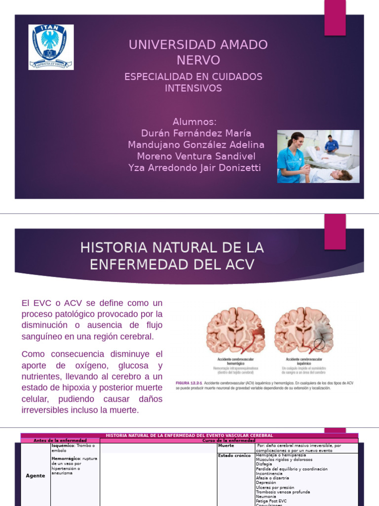 Presentation HNE EVC | PDF | Carrera | Isquemia