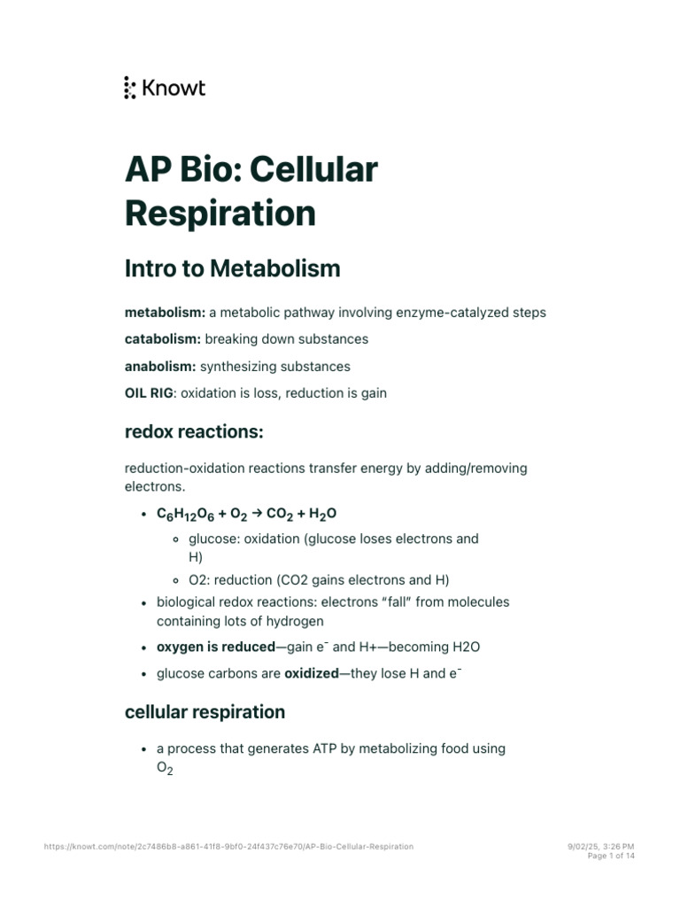 AP Bio: Cellular Respiration Overview | PDF | Cellular Respiration ...
