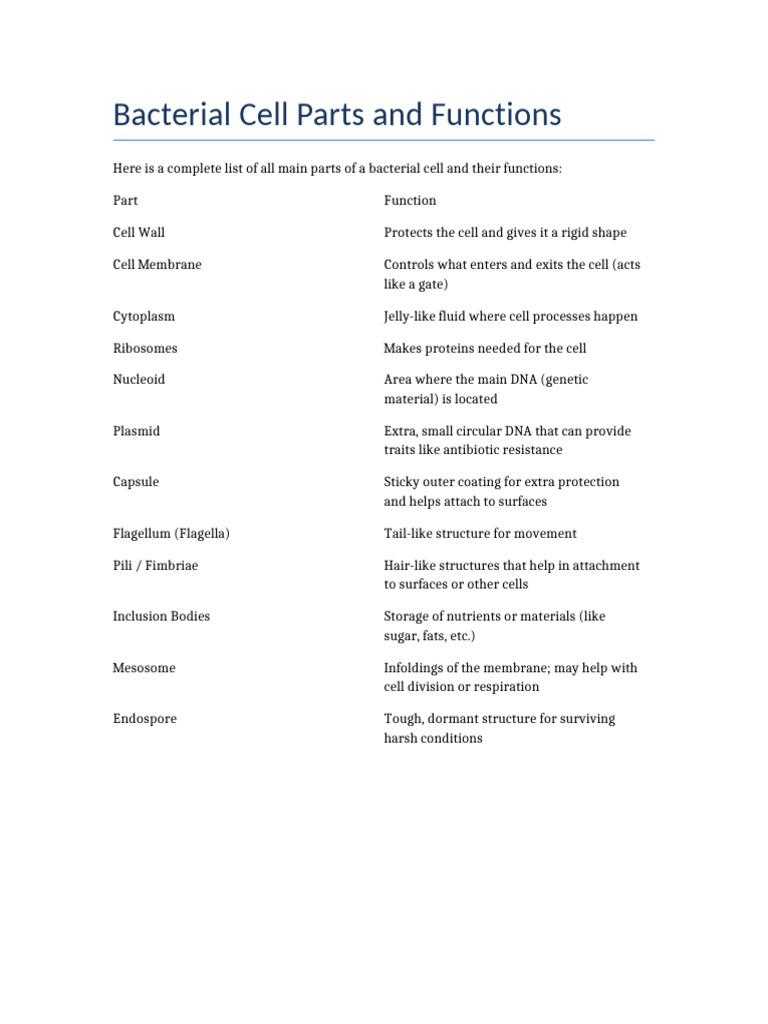 Bacterial Cell Parts and Functions | PDF