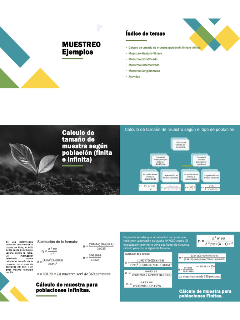 Bioestadistica III | PDF | Muestreo (Estadísticas) | Estadísticas