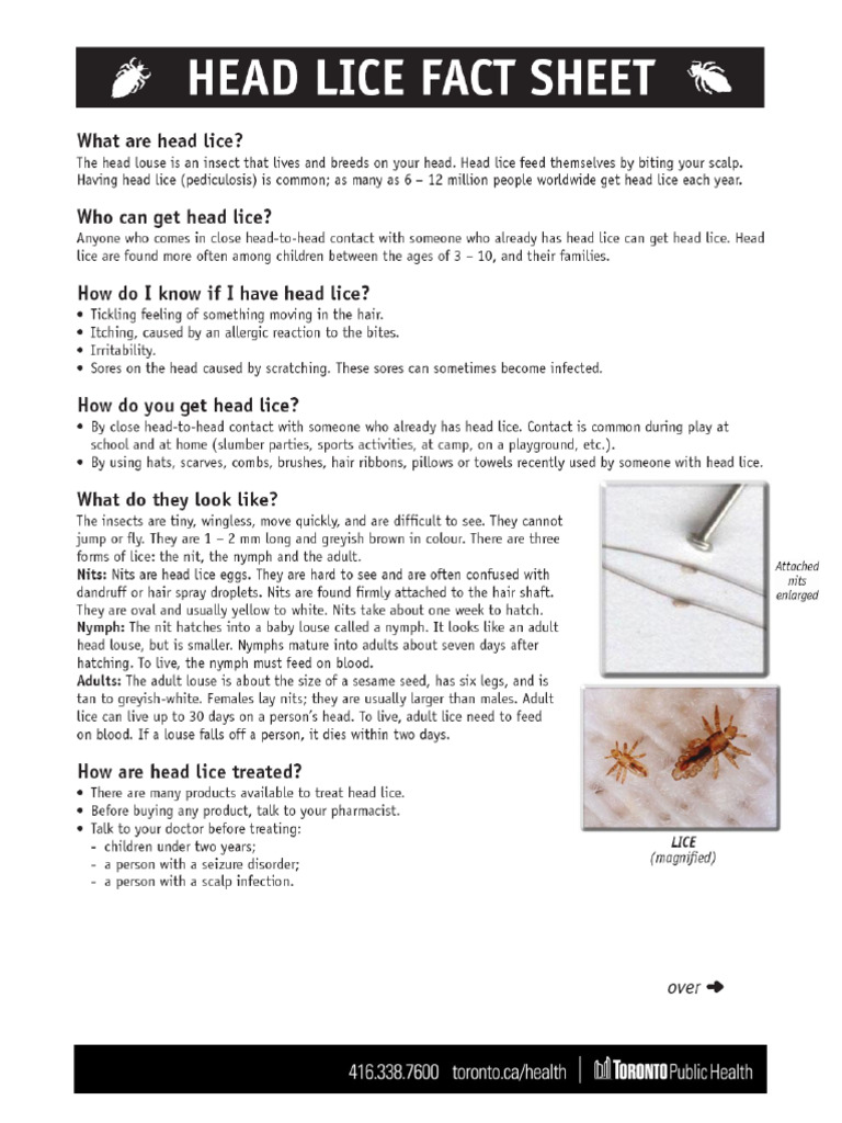 Head Lice Fact Sheet | PDF