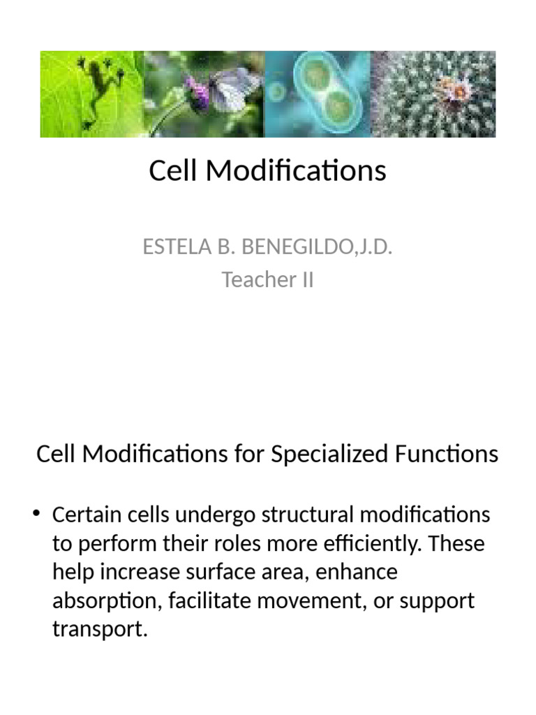 Cell Modifications Presentation | PDF