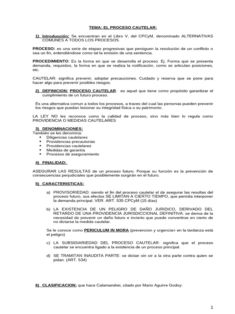 Proceso Cautelar: Definición y Clases | PDF | Mandato | Separación de ...