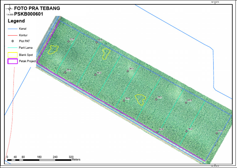 Peta Pra Tebang PSKB000601 - 5 - Blank Spot, Parit Lama, Plot PAT & Kontur | PDF