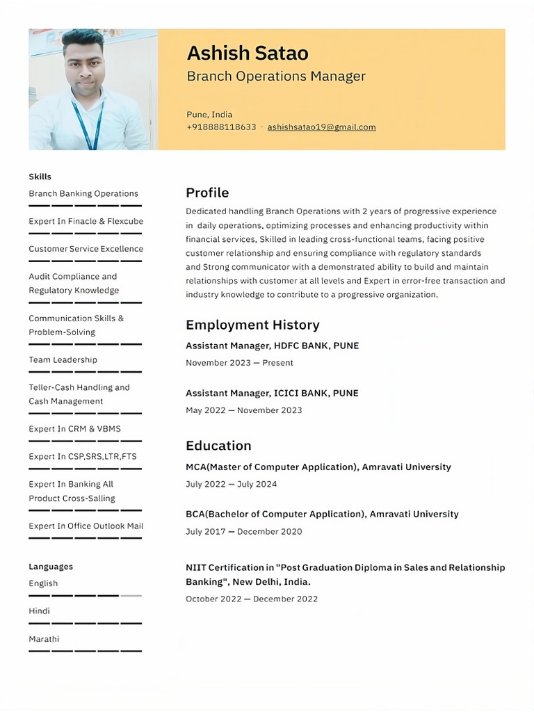 Ashish Resume | PDF