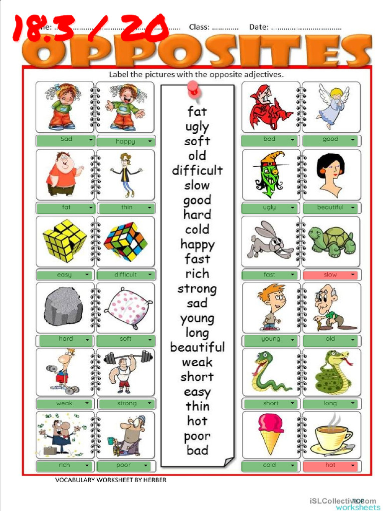 Opposite Adjectives 1 | PDF