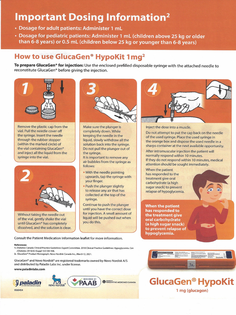Diabetes Instructions and Care | PDF