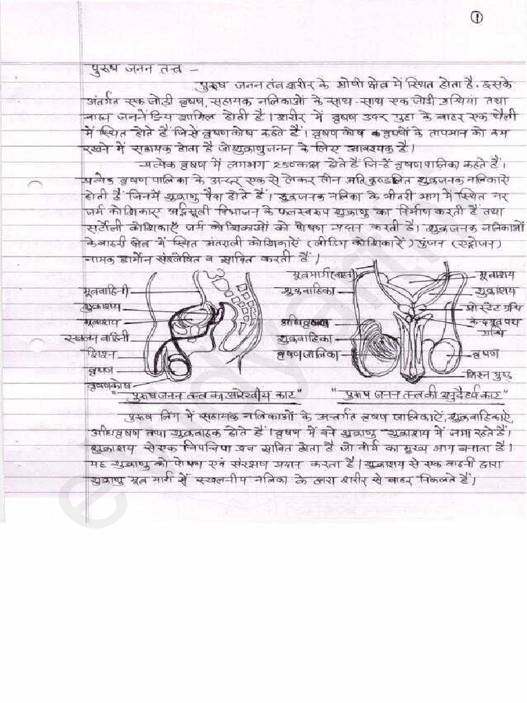 Chapter 3 Bio Class 12 | PDF