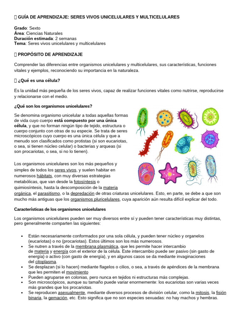Organismos Unicelulares vs Multicelulares | PDF | Organismos | Biología ...