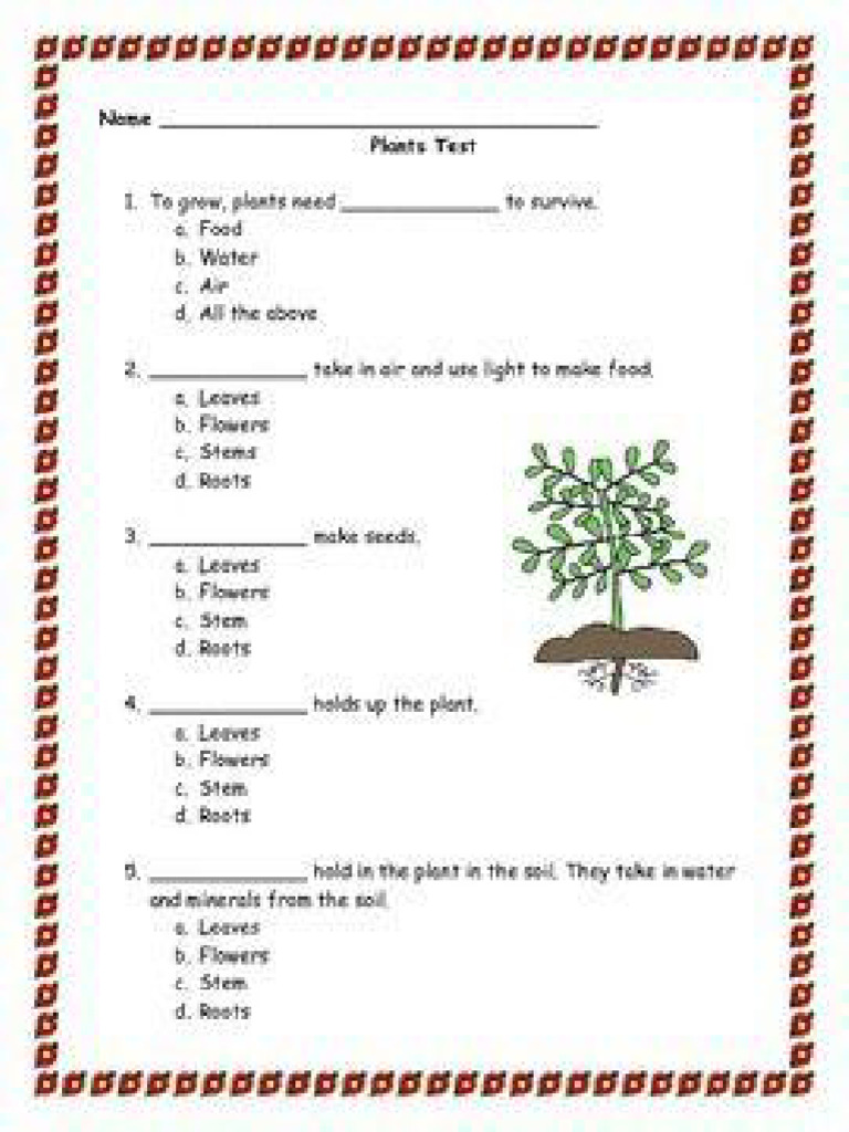 Plants Test Clear | PDF