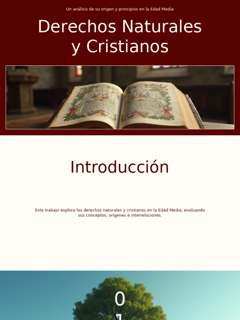Derechos Naturales y Cristianos | PDF | La Ley natural | Derechos humanos