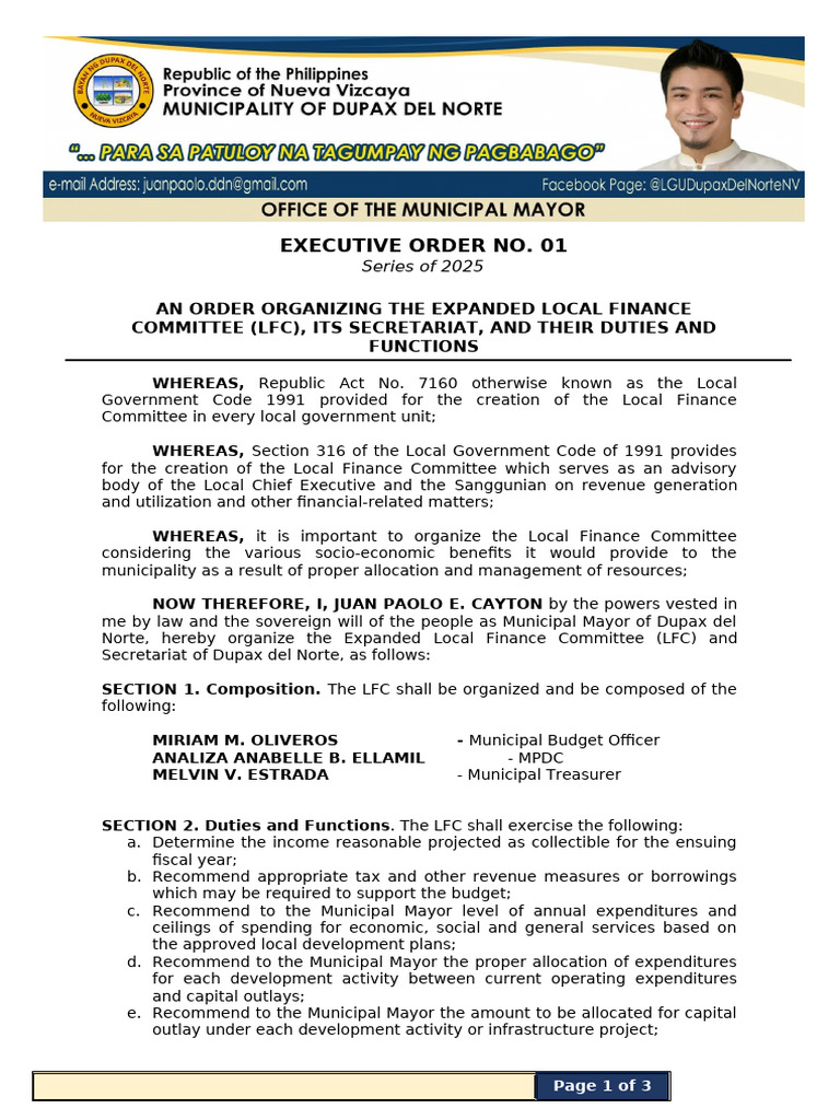 Expanded Local Finance Committee Order | PDF | Budget | Government