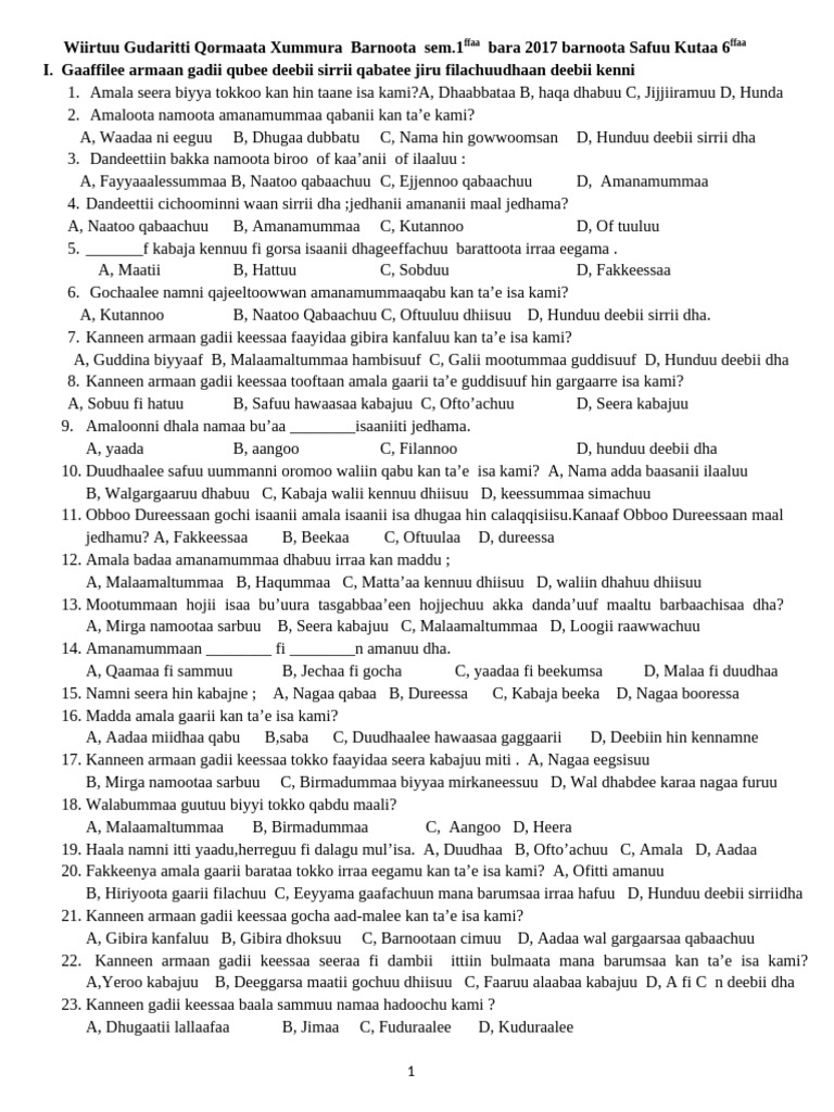 Kut. 6 Qormaata Safuu Kutaa 6 | PDF