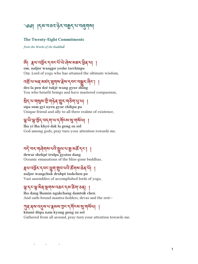 Twenty Eight Commitments | PDF