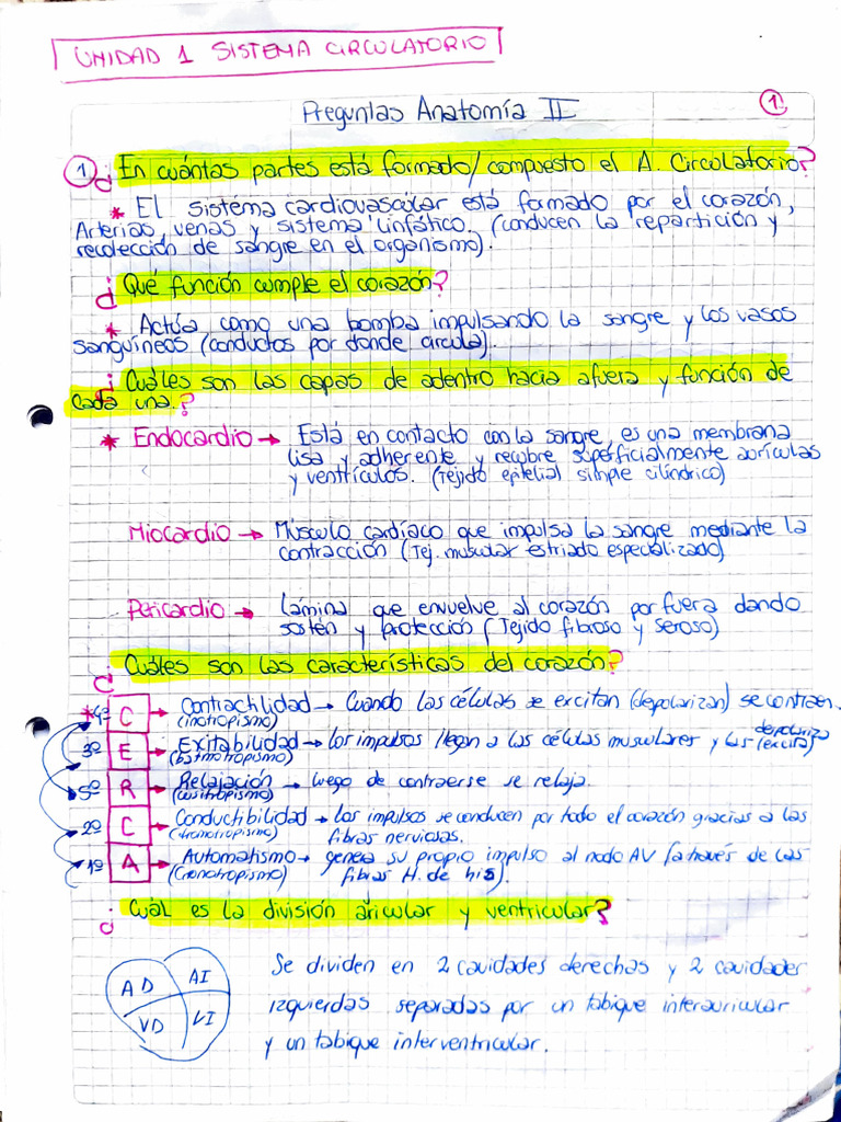 Anatomia 2 | PDF