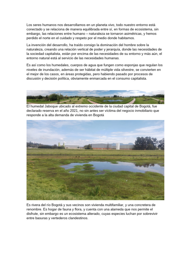 Ensayo Fotográfico | PDF