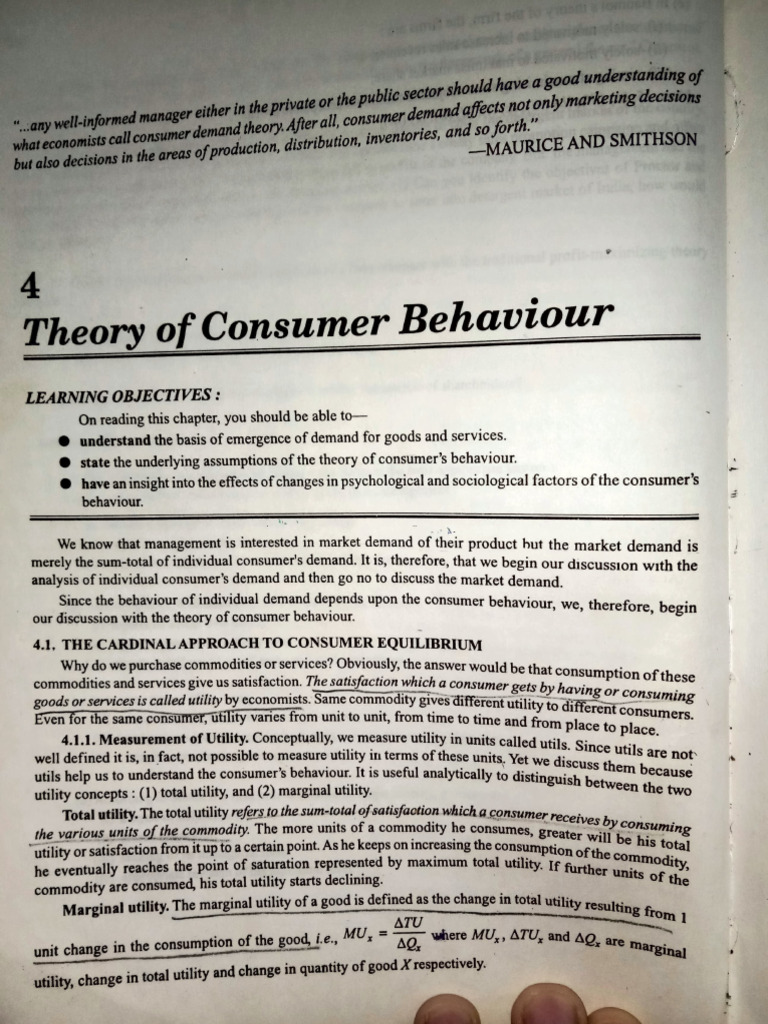 Consumer Behaviour | PDF